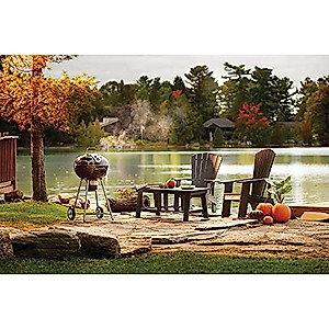 Napoleon NK22K-LEG-2 Built in Grills, Black