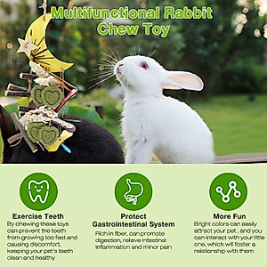 MQFORU Rabbit Hanging Toys, Chinchilla Chew Toys, Guinea Pig Toys, Small Animal Toys, Bunny Treats Toys Cage Accessories for Teeth, Hamsters Rats Toys for Snacks, Food Grade Materials Dyes