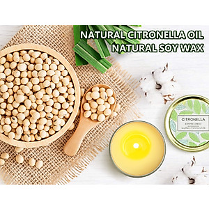 LA BELLEFÉE Citronella Candles Outdoor, Lemongrass Scented Candles,Natural Citronella Soy Candles Set,Summer Aromatherapy Candles Set for Patio Garden Balcony BBQ,Indoor/Outdoor Use (12 Pack)