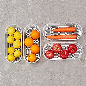 2pcs Food Drain Container for Scallion Garlic Paste Pepper Thickened Durable Container 2pcs Food Fresh-keeping Box Food Grade Safe Container for Ginger Seasoning Condiment