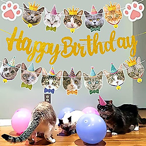 Cat Birthday Party Decoration Cat Faces Banner Gold Glitter Happy Birthday Banner for Meow Kitty Theme Birthday Party Baby Shower Supplies