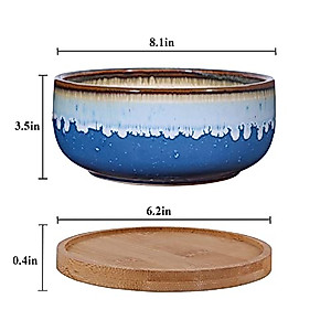 EPFamily 8 Inch Succulent Planter with Drainage Hole and Saucer for Plants Round Shallow Bonsai Planter Pot Decorate Home Office and Indoor