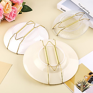 COIDEA 3 Pieces Plate Hangers for Wall, 6 8 10 Inch Plate Hangers, Stainless Steel Invisible Wire Plate Holder with 3 Pack Wall Hooks, Compatible 5 to 10.5" Decorative Antique Plates and Arts