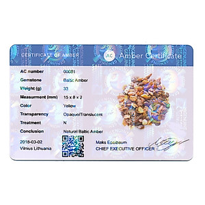 AMBERAGE Natural Baltic Amber Leverback Earrings