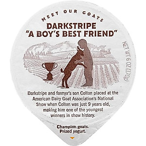 Redwood Hill Goat Milk Yogurt, Vanilla, 6 oz