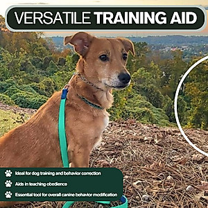 Kimberland Collars Clasp 2.25mm Stainless Dog Training Collar for Large Breeds | 16” Prong Collar for Dogs 26lbs & Up | No-Pull Collar | Dog/Puppy Training & Behavior Aid