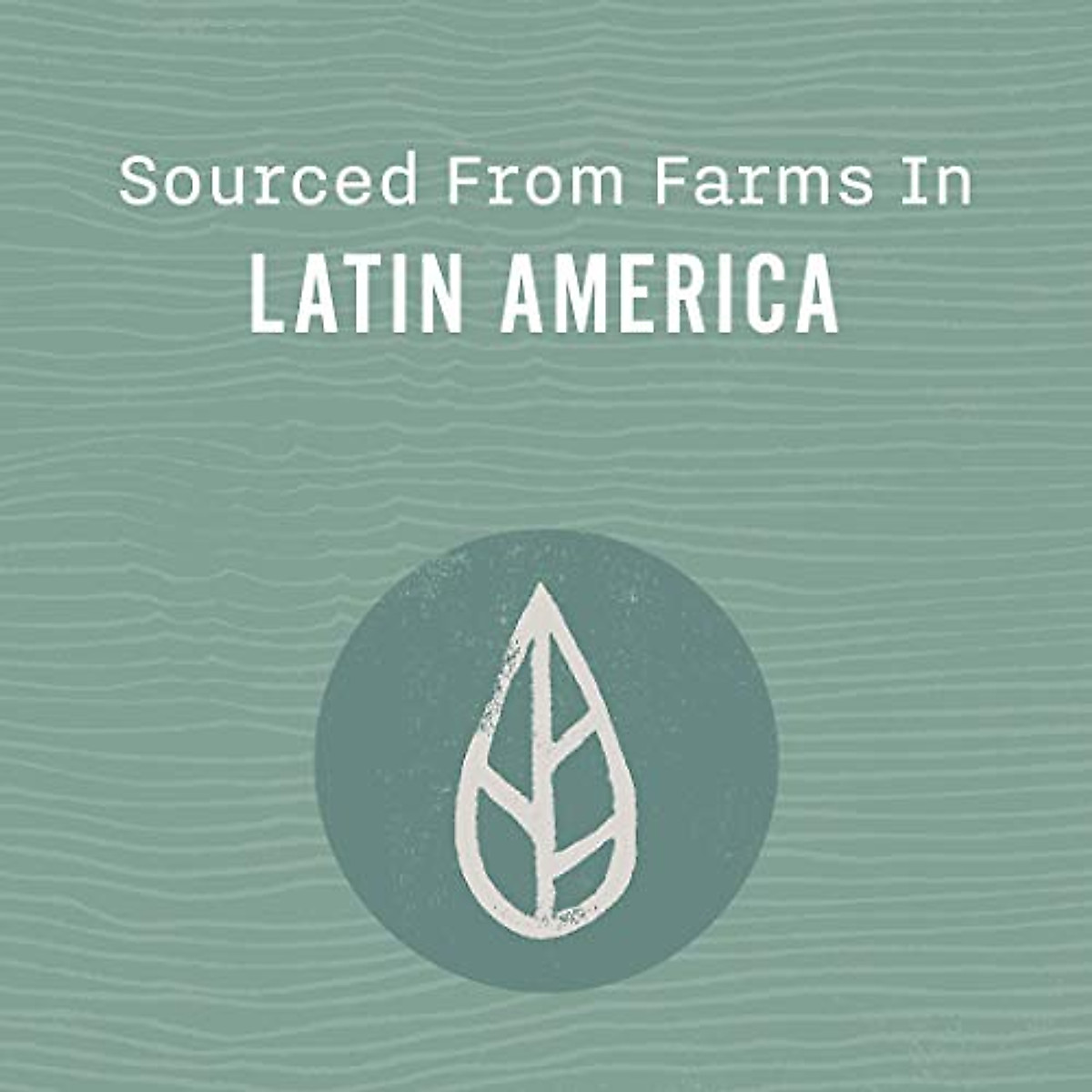 Allegro Coffee Rainforest Blend Whole Bean Coffee, 12 oz