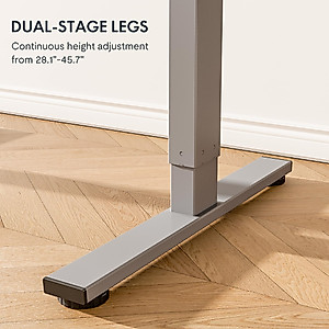 FLEXISPOT EN1 One-Piece Height Adjustable Desk 48 x 30 inch Electric Standing Desk, Stand Up Desk for Home Office (Silver Frame + 48" Natural Top, 2 Packages)