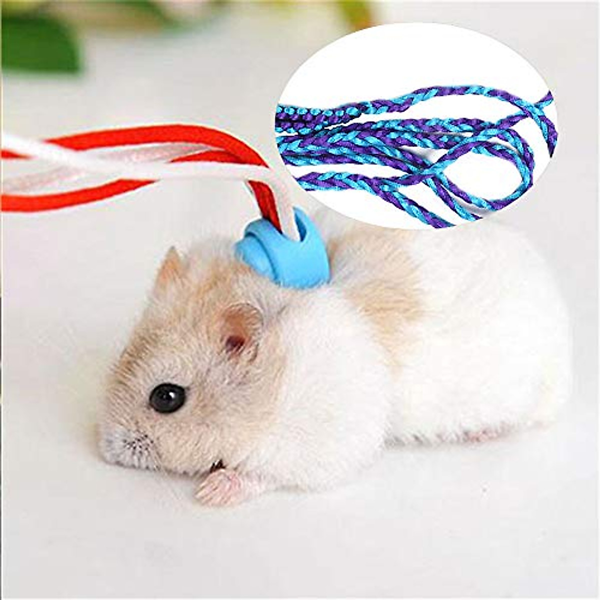 Hamster Leash Small Pet Harness No Harm Nylon Braided Collar Flying Squirrel Other Small Pets for Squirrel Hamster(Blue+Purple)
