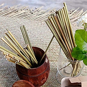 TXV Mart Eco-Friendly Disposable Party Grass Straws Drinking 100% Natural, Biodegradable, and Compostable (Pack of 100)