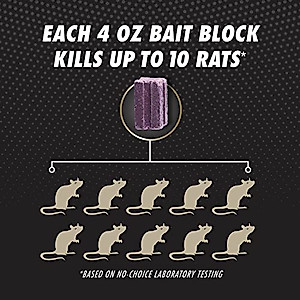 Tomcat Rat & Mouse Killer Disposable Bait Station Advanced Formula for Indoor and Outdoor, 1 Pre-Filled Ready-To-Use Station