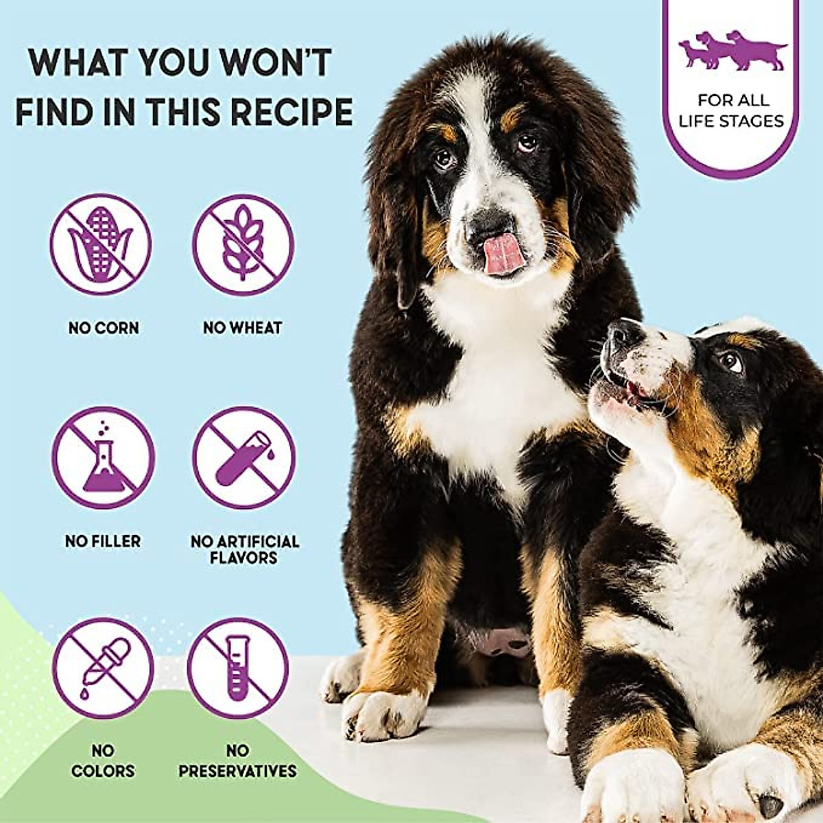 Health Extension Dry Dog Food, Natural Food with Added Vitamins & Minerals, Suitable for Puppies & Dogs, Original Chicken & Brown Rice Recipe (30 Pound / 13.6 kg)