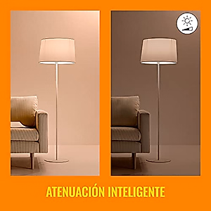 WiZ 40W B12 Color LED Smart Candle-Shaped Bulb - Pack of 1 - E26- Indoor - Connects to Your Existing Wi-Fi - Control with Voice or App + Activate with Motion - Matter Compatible