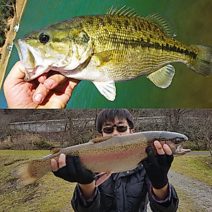 YZD Realistic Fly Fishing Dry Wet Nymph Trout Flies Topwater Lures for Freshwater Saltwater High Simulation Hand Tie Lure Kits 10 pcs