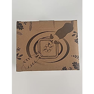 AONBOY Cat Water Fountain, Ultra Silent Cat Fountain 67oz/2L, with LED Light, Activated Carbon Filter, Pet Water Fountain for Cats and Small Dogs