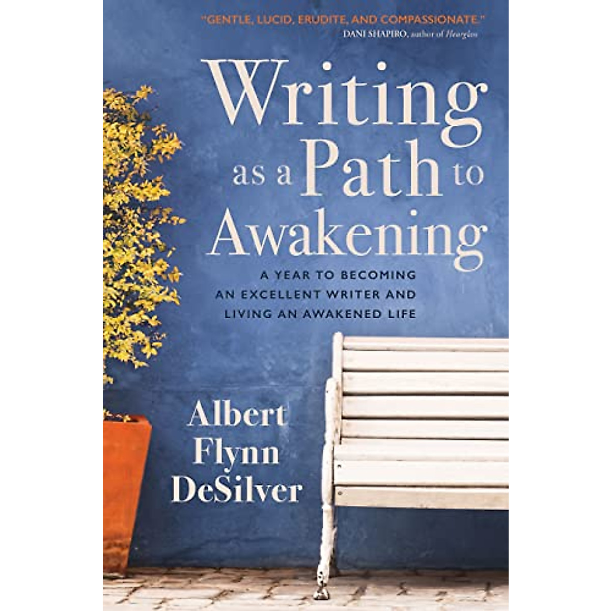 Writing as a Path to Awakening: A Year to Becoming an Excellent Writer and Living an Awakened Life