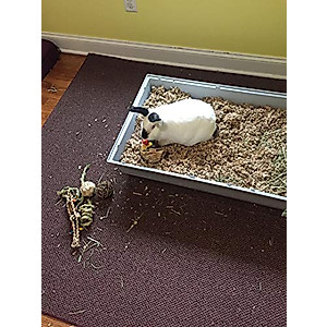 Small Pet Select Premium Small Animal Bedding, Natural Soft Paper Bedding for Small Indoor and Outdoor Pets, Made in USA, 56 L Pack