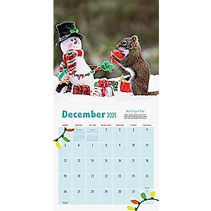 The Secret Life of Squirrels Wall Calendar 2021