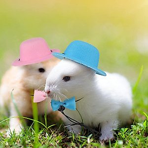 4 Sets 8 Pieces Guinea Pig Clothes Small Animal Bow Ties Pet Hats Outfit Suit Cosplay Cool Kawaii Pet Black Hat for Hamster Ferret Cat Rats Puppy Kitten Hedgehog Bearded Dragon