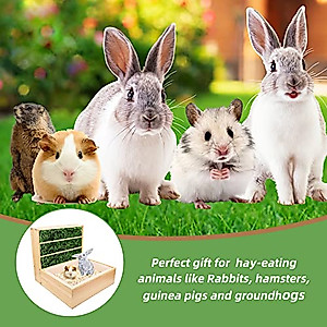 Hay Feeder, Indoor Hay Feeder with Litter Pan, Rabbit Hay Feeder with Plastic Litter Box, Designed for Rabbit Hamster Guinea Pig Small Pet Animals