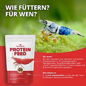 NatureHolic Proteinfeed, Shrimp Food, Protein Food, Made in Germany, Free from Fish Meal & Low-Quality Animal Meals, for Enhanced Shrimp Breeding & Growth