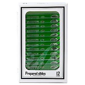 LINKMICRO 48pcs Prepared Plastic Microscopes Slides with 4 Types of Glass Biological Specimen for Kids Students