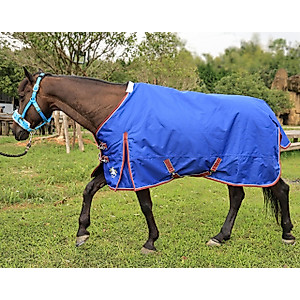 T TEKE Deluxe Turnout Horse Sheets, 1200D Waterproof and Breathable Horse Care Sheets with no Filling (51"-87" Including Miniature/foal Size)