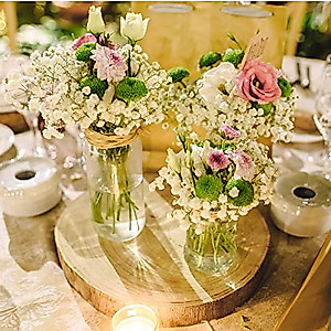 Caydo 10 Piece 9-10 Inch Large Paulownia Wood Slices with 10 Piece Wood Table Number Card Holders and 10 Pieces Cards for Wedding Table Centerpiece Decoration and Home Decoration