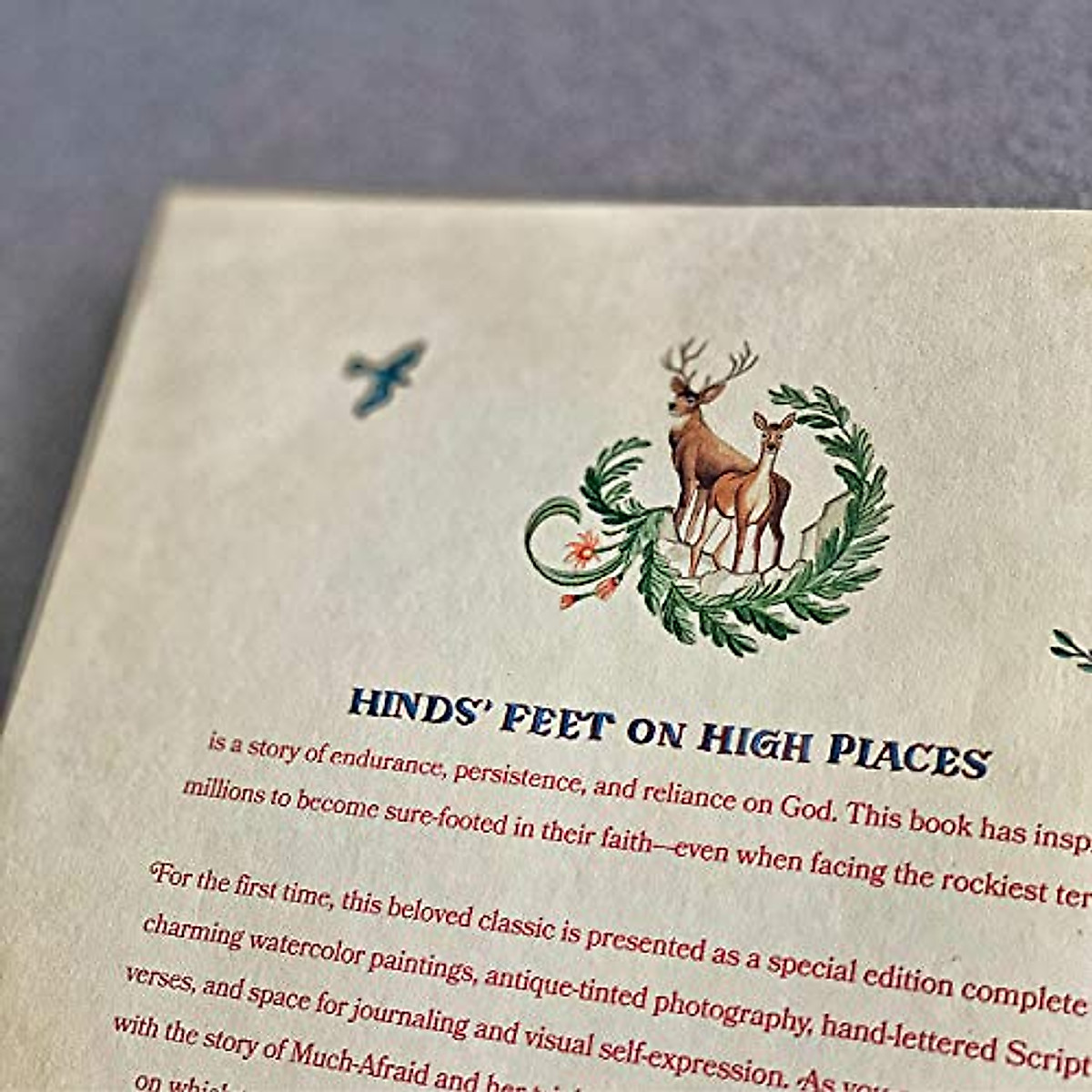 Hinds' Feet on High Places: An Engaging Visual Journey (Visual Journey Series)