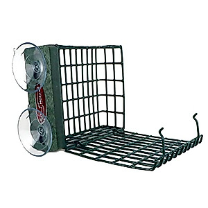 Kettle Moraine Window Mount Single Suet Cake Woodpecker Bird Feeder