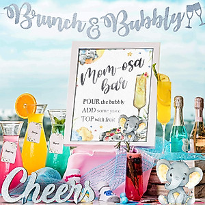 PRESTIGE Mimosa Bar Supplies | Brunch Decorations & Mimosa Bar Kit, Christmas Party Supplies w/ Bubbly Bar Sign & Banner Set, Holiday Bridal Shower Decor & Merry Christmas Birthday Decorations (XMAS)