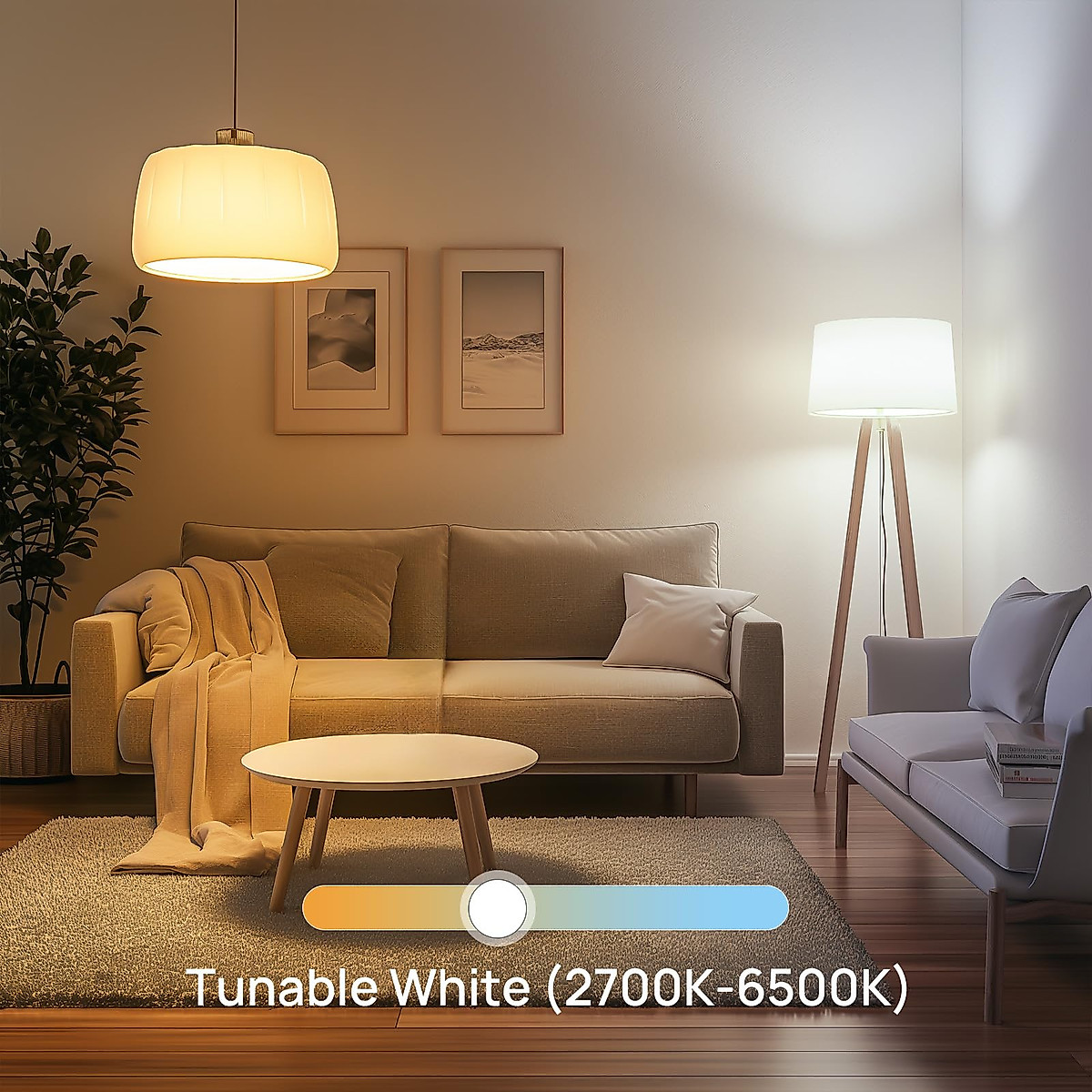 OREiN Smart LED Edison Light Bulb with Remote Control WiFi A19 Vintage Light Bulbs E26 Base 800Lm, 8W 60W Equiv Tunable 2700K-6500K Filament Bulbs Work with Alexa/Google/Aidot APP 4pack+1Romote…