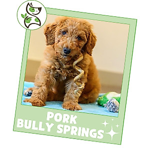 Nature Gnaws Pork Bully Stick Springs for Dogs 7-8" (12 Count) - Long Lasting for Small and Medium Dogs - Natural Bacon Dog Chew Treats - Rawhide Free