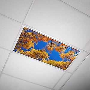Octo Lights Fluorescent Light Covers for Ceiling Lights Classroom 2x4 (22.38in X 46.5in) Improve Focus, Eliminate Headaches, Provide Florescent Light Relief - Tree 010