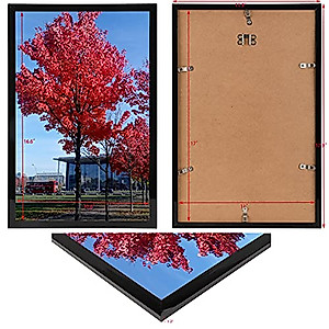 Medog 11 by 17 Picture Frame without Mat to Display picture 11x17 Wall Mounting Document Certificate Frames If Add Mat Can As 11x14 10x14 9x15 10x12 Picture Frame 11x17