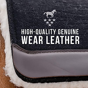 Professional's Choice 100% Steam-Pressed Saddle Pad (31" x 32", Fleece Bottom 1 1/4" Felt, Black)
