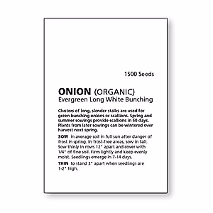 Burpee Evergreen Long White Bunching (Organic) Onion Seeds 1500 seeds