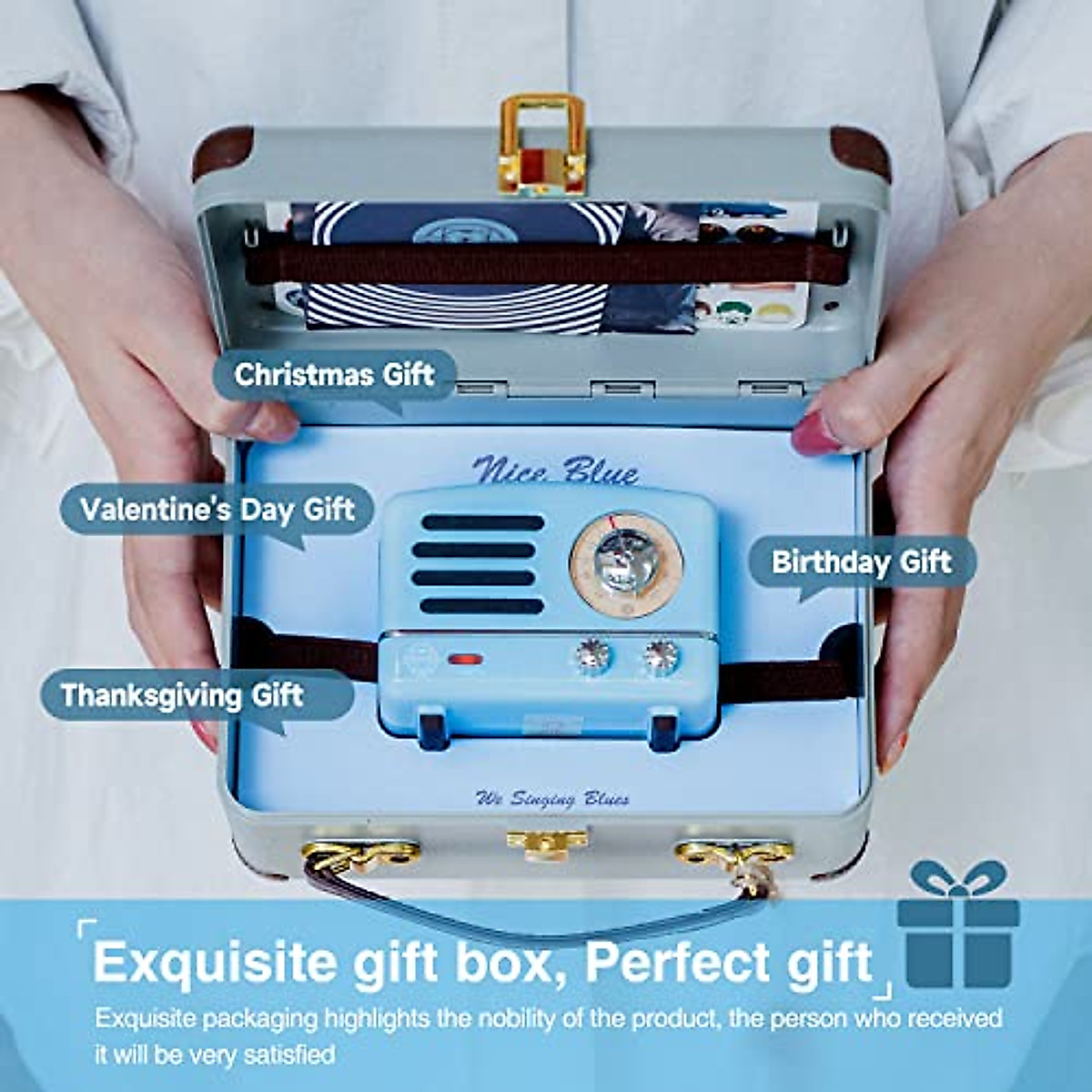 Muzen OTR Metal Portable Bluetooth Speaker with Retro knob Tuner FM Radio, Also with Suitcase Gift Case, Wireless Bluetooth Speaker with Loud Stereo Sound, for Home Outdoor Travel