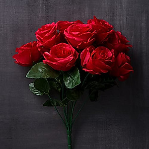 Ashland Michaels Red Rose Bush