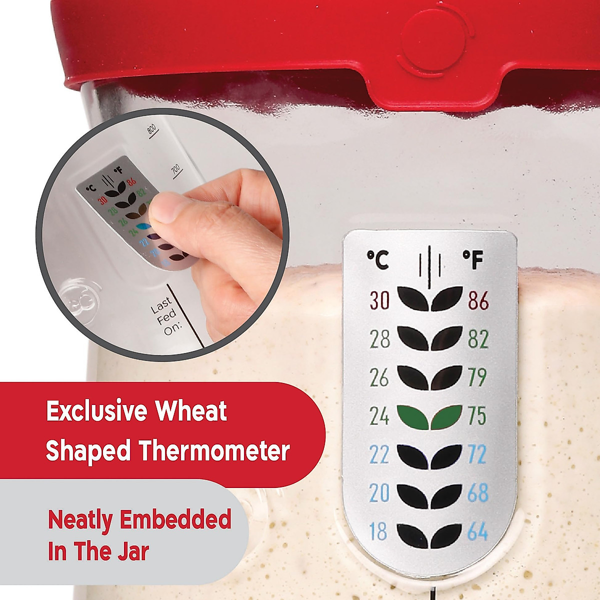 KneadAce Bread Lame & Sourdough Starter 34oz Pro Jar Kit