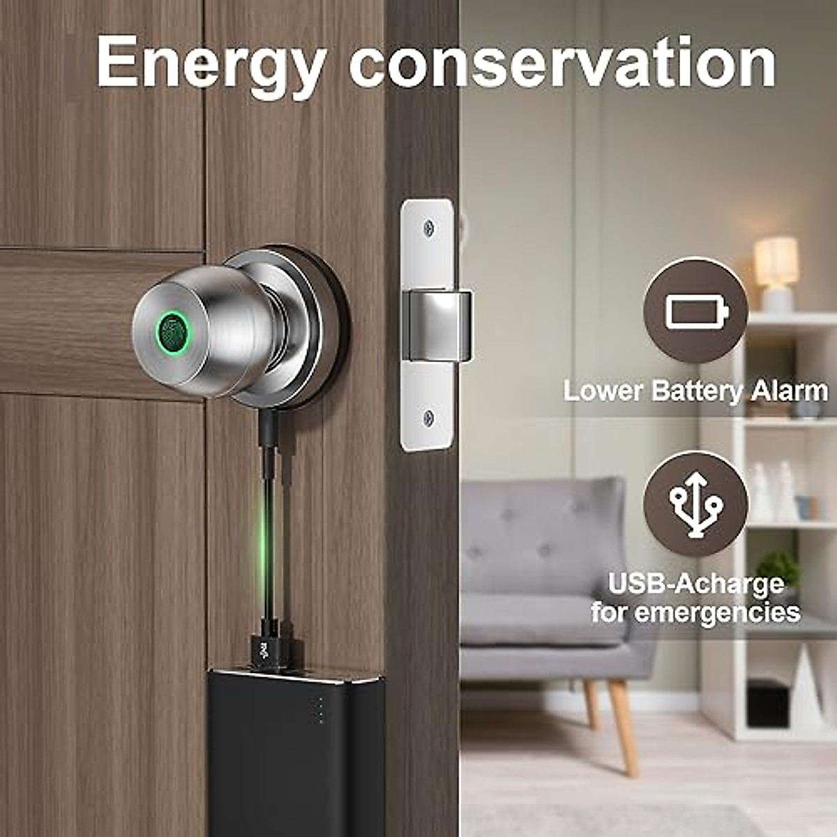 HEI LIANG Fingerprint Door Lock Smart Door Knob, Biometric Door Lock Smart Lock Fingerprint Door knob with App Control, Suitable for Bedrooms,Cloakroom,Apartments Offices,Hotels (Satin Nickel)