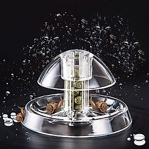 KVSERT 2 Pcs Snail Trap for Fish Tank Aquarium Plastic Clear Snail Trap Planarian Leech Catcher 6cm