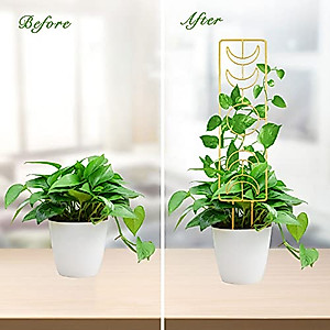 2 Pack Large Moon Phase Plant Trellis, 17.32 Inches Gold Metal Plant Trellis for Garden Indoor Climbing Plants, Climbing Plant Support for Potted Plants Houseplant Monstera Plant Ivy Vine