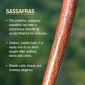 Brazos Rustic Wood Walking Stick, Sassafras, Traditional Style Handle, for Men & Women, Made in the USA, 55"