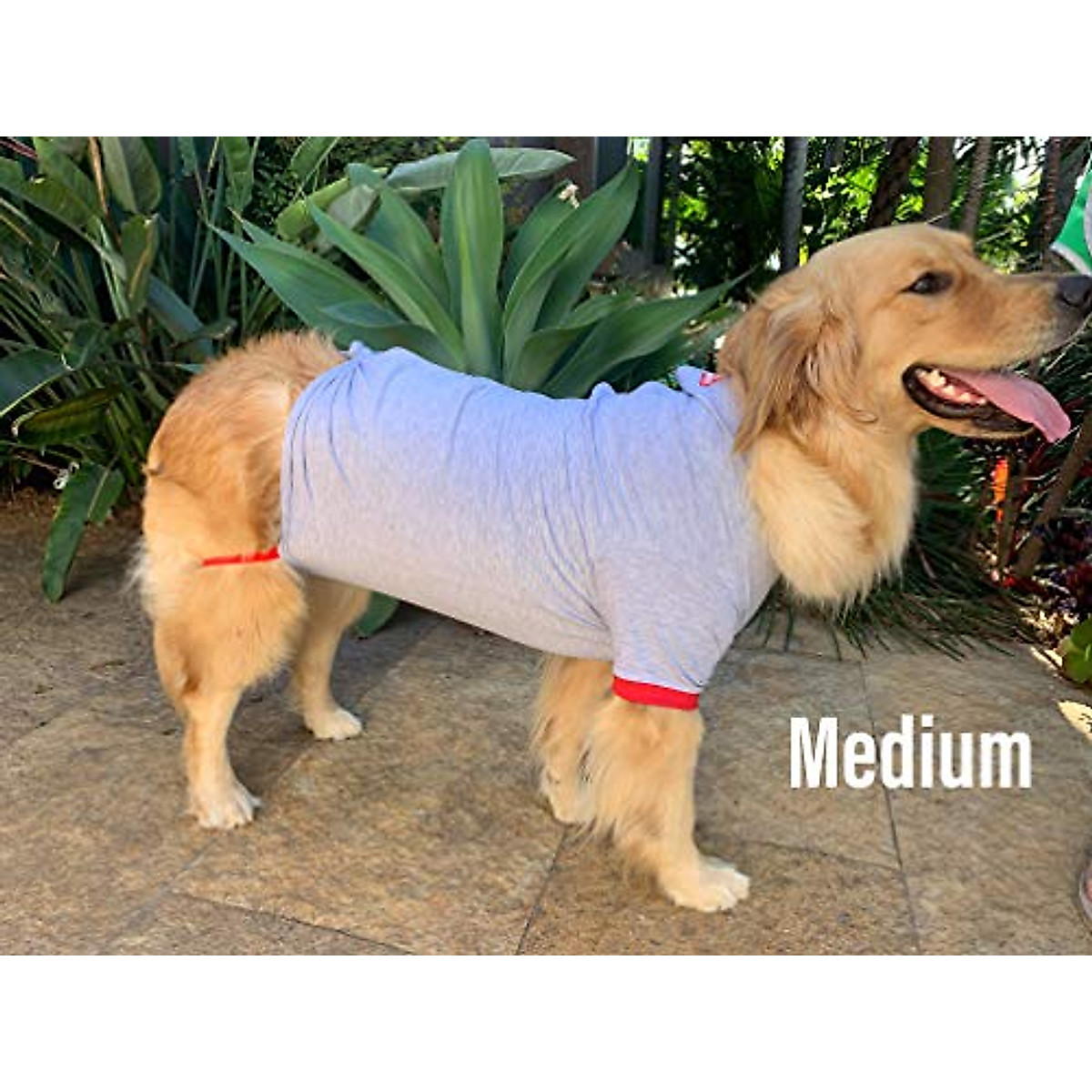 Short Sleeve Shirt for Dogs New! from POP FOR PETS (Large Red) - Better Than The Cone! POPforPETS Cotton Shirt for Larger Dogs. The Most Comfortable Alternative for Recovery!