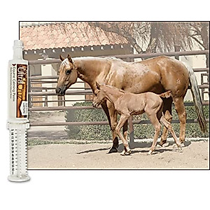UltraCruz-sc-516023 Equine Calming Supplement for Horses, 6 X 60 ml, Paste