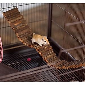 Flex Bridge (Large) - Bendable Natural Wooden Suspension Bridge Cage Accessory Climbing Toy - Sugar Gliders, Rats, Chinchillas, Ferrets, Parrots, Birds, Hamsters, Hedgehogs, Guinea Pigs, Monkeys