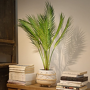 Chonsun Ceramic Planter 8 Inch Plant Pots Indoor Outdoor Planter with Drainage Hole Flower Pots Plant Pot Ceramic Mid-Century