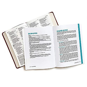 The Faithful - Bible Study Book: Heroes of the Old Testament