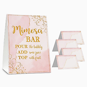 Mimosa Bar Supplies Kit - Watercolor Pink Mimosa Bar Sign - Elegant Gold Foil Table Place Cards - Bridal Shower, Birthday Party, Bubbly Bar, Engagement/ Bachelorette Party Decor(02)
